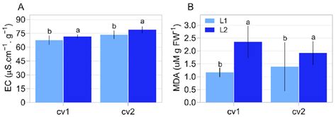 biochemical properties in two commercial cultivars cv1 brs133 and