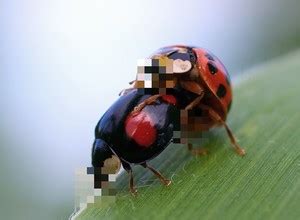 Algunos Consejos Para Mejorar El Sexo Con Tu Pareja