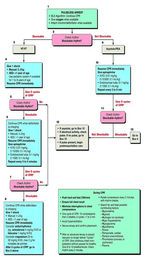 9 Best ACLS Drugs Pharmacology Algorithms To Study Images On