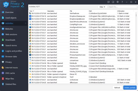 Ashampoo Privacy Inspector 2 Capturas Ashampoo