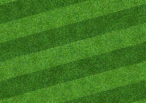 Premium Photo Realistic Grass Texture For Garden Mockup Sports And