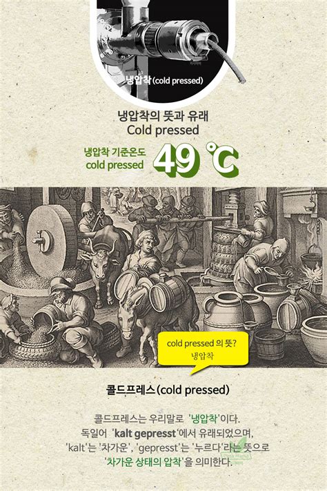 냉압착 생들기름 냉압착 생참기름 냉압착의 뜻과 유래 의미 가장 건강한 오일 제조방식 냉압착