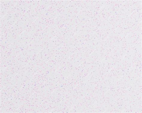 테라초 질감 바닥 화강암 질감 돌 바위 대리석 배경 자연 포장 모자이크 템플릿 석영 조약돌 타일 디자인 인테리어 장식 3d 프리미엄 사진