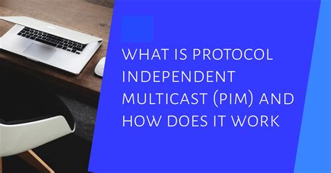 What Is Protocol Independent Multicast Pim And How Does It Work