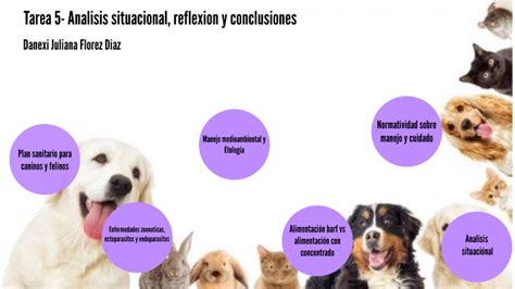 Tarea 5 Análisis Situacional By Danexi Juliana Flores Diaz On Prezi