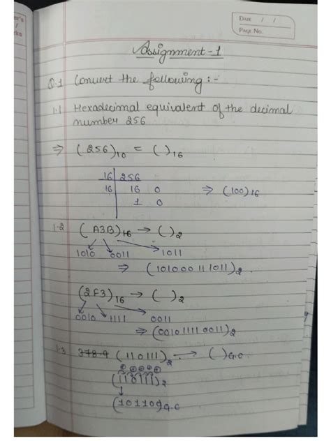 assignment 1 pdf