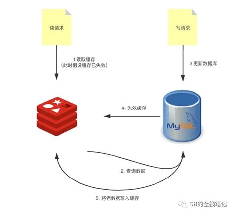 缓存与数据库双写一致性，数据库基础 和通数据库