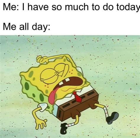 Maybe Tommorow Rmemes