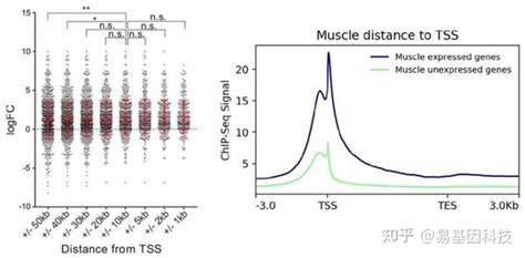 易基因：染色质免疫共沉淀测序chip Seq）的数据挖掘思路 ｜干货系列 知乎