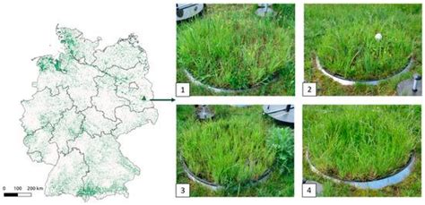 Valeh Khaledi On Linkedin Challenges Of Including Wet Grasslands With
