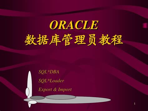 Oracle数据库dba精华教程word文档在线阅读与下载无忧文档