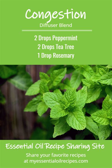 Diffuser Recipe For Congestion An Essential Oil Recipe