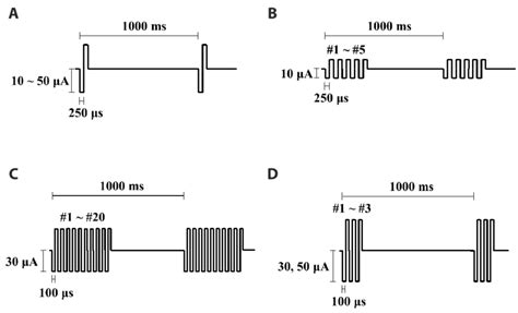 Stimulus Protocols Used In The Experiment A Single Pulse