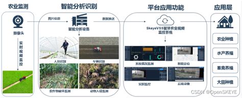 智慧农业视频监控系统在农业生产中的重要应用农业领域的视频监控 Csdn博客