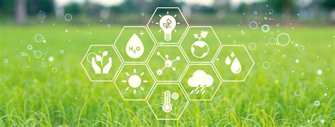 La sobriété numérique comment remettre en question nos usages pour impacter lenvironnement