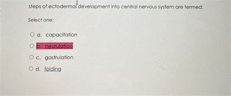 Solved Steps Of Ectodermal Development Into Central Nervous