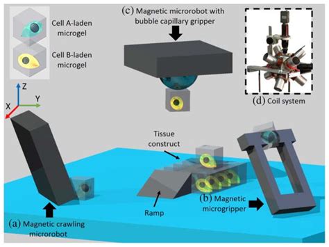 Biomedical Applications Of Untethered Mobile Millimicrorobots Abstract Europe Pmc