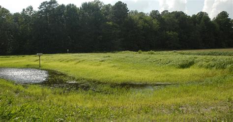 Nrcs Missouri Announces Funding Opportunities For Farmers And