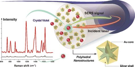 Fiber Optic Sensing System Using Polyhedral Plasmonic Nanostructures As Sers Active Substrates