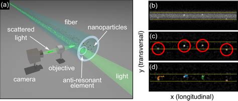The Concept Of Single Antiresonant Element Are Fiber Assisted