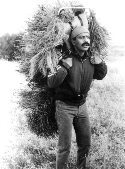 Cheech Marin Songs Events And Music Stats