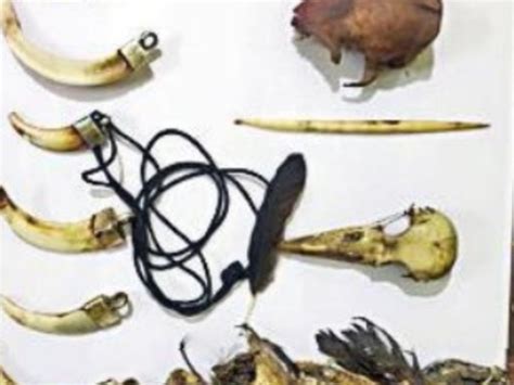 Animal Skins Bones Found At Tantrik Home In West Bengal Kolkata