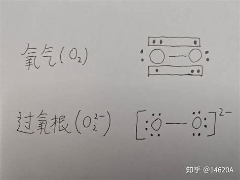 为什么一个氧气分子有两个共用电子对，而一个过氧根只有一个共用电子对？共用电子对数与什么有关？ 知乎