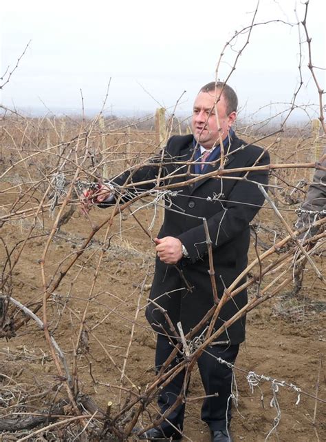 Министър Иванов Лозаро винарският сектор е един от приоритетите ни Български Фермер