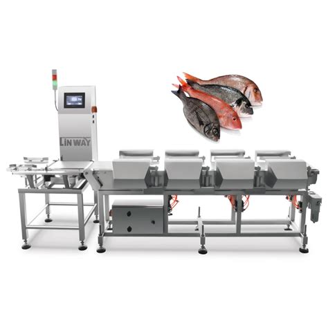 Fish Lobster Seafood Sorter Accurate Sorting Automatic Weight Grading