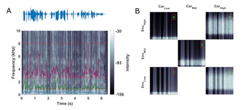 Stimulus Design A Acoustic Waveform Top And Spectrogram Bottom Download Scientific