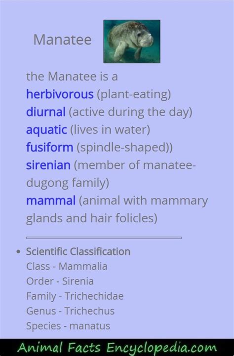 Manatee Classification Chart