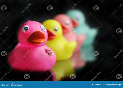 Ducks In A Row Stock Image Image Of Plastic Black Love 8633101