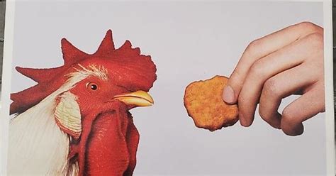 Nuggs By Simulate Imgur