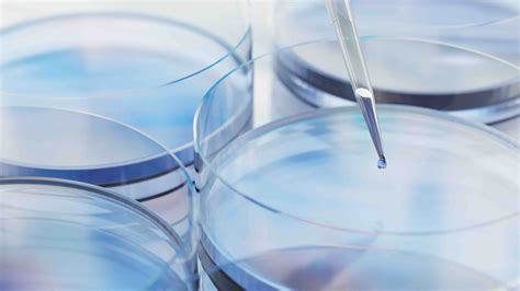 Optimizing Gelatin Hydrogels For Volumetric 3d Bioprinting