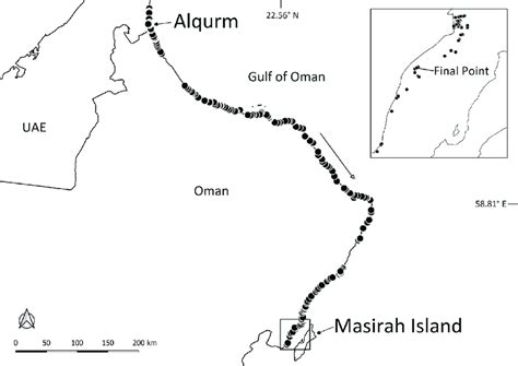 The 42 Day 805 Km Migration Of Juvenile Green Turtle 67871 From Alqurm