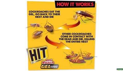 Buy Hit Anti Roach Gel Cockroach Killer 20 G Online At Best Prices Wellness Forever