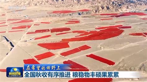 【在希望的田野上】全国秋收有序推进 粮稳物丰硕果累累我苏网