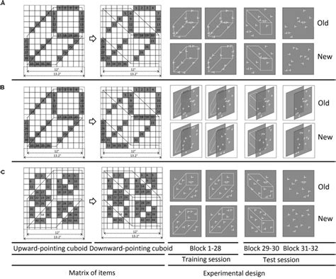 Stimulus Configurations And Schematic Paradigm Used In Experiments 1