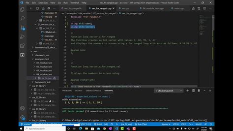 cosc 1337 vector test case midterm youtube