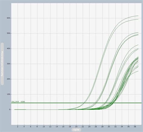 Qpcr Standard Curve Troubleshooting Why Does It Not Give Straight Line Researchgate