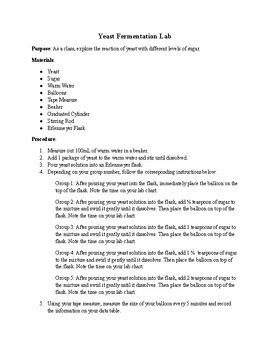 Yeast Fermentation Lab By Natalie Crimmins TPT