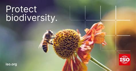 Tim Webb On Linkedin Iso Net Zero Guidelines