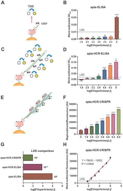An Ultrasensitive Hybridization Chain Reaction Amplified Crispr Cas12a Aptasensor For