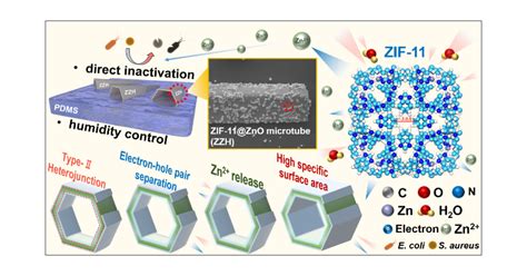 In Situ Synthesis Of Zeolitic Imidazolate Framework 11 Zno Heterostructures For Enhanced