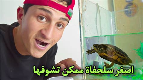 وصلتني اصغر سلحفاة وطلبو مني اعتني بيه شوفو شسويت؟🔥🐢 Youtube