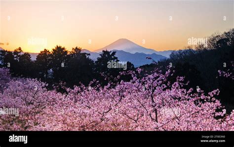As Observed From Oi Yume No Sato Park In Oimachi Kanagawa Prefecture
