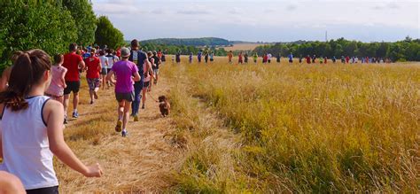 Parkrun To Delay Restart Of 5k Events In England Parkrun Uk Blog