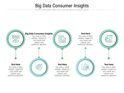 Big Data Consumer Insights Ppt Powerpoint Presentation File Vector Cpb