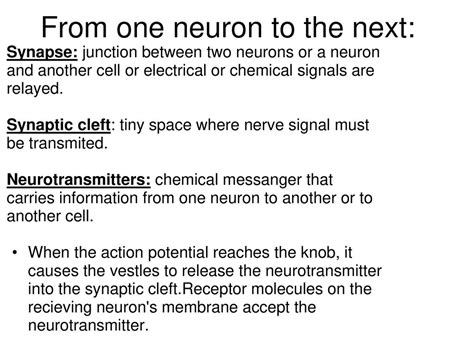 In Class Notes By Mrs Swinehearts Fifth Hour Ppt Download