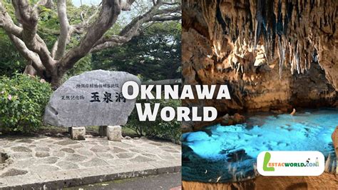 Important To Know About Okinawa World Japan